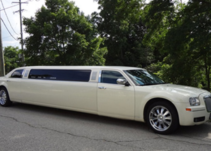 Party Bus Stretch Limousines 8 to 10 Passengers